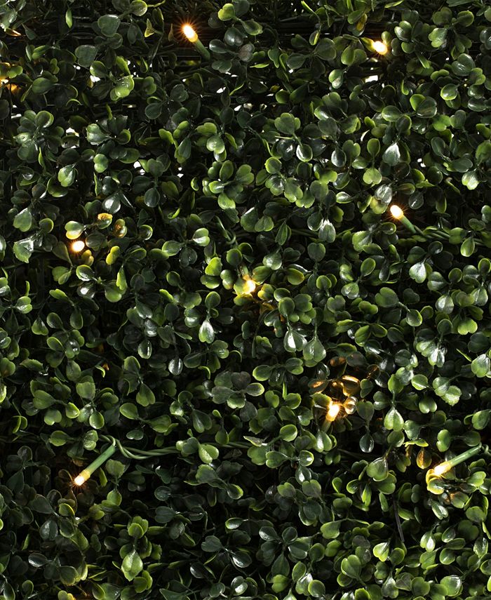 Vickerman 20" Artificial Boxwood Cube with 100 Warm Light Emitting ...