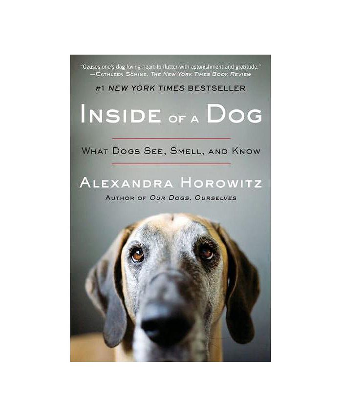 Barnes & Noble Inside of A Dog- What Dogs See, Smell, and Know by ...