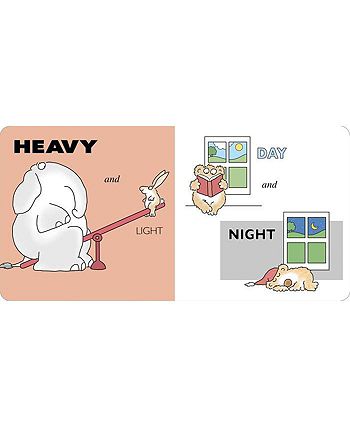 Barnes & Noble Opposites by Sandra Boynton - Macy's