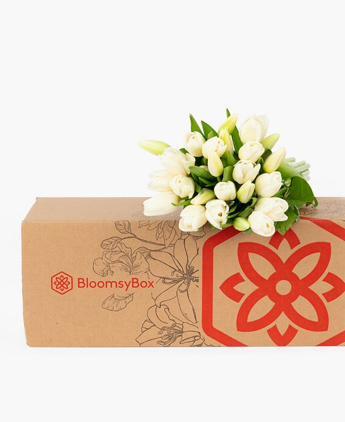 BloomsyBox Pure White Tulips Fresh Flower Bouquet - Macy's