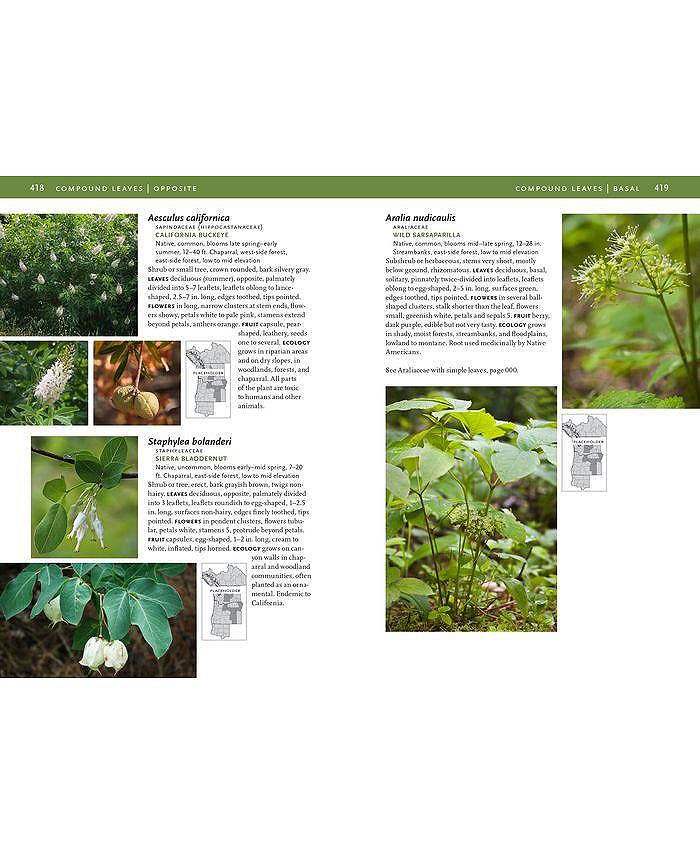 Barnes & Noble Trees and Shrubs of the Pacific Northwest by Mark Turner - Macy's