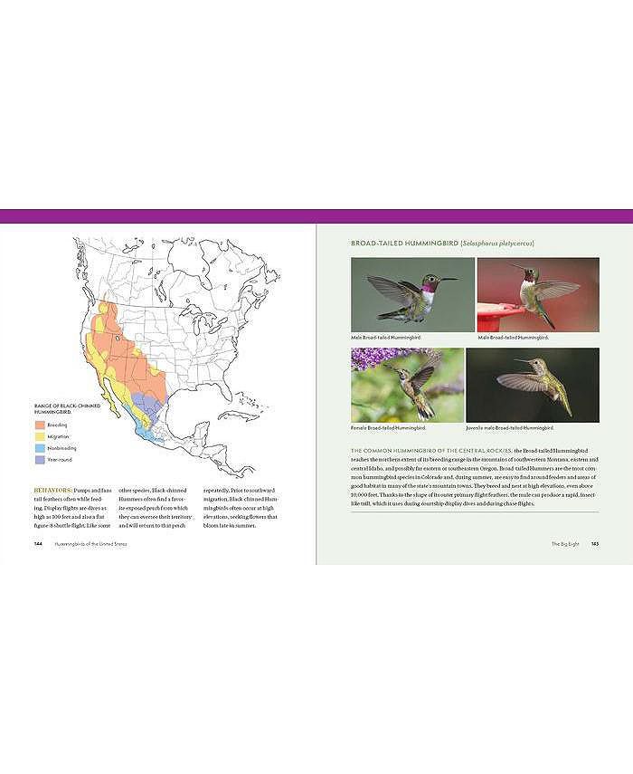 Barnes & Noble The Hummingbird Handbook - Everything You Need to Know ...