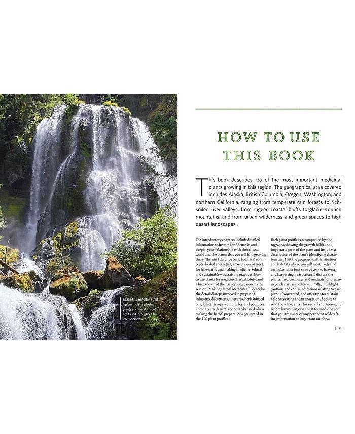 Barnes & Noble Pacific Northwest Medicinal Plants: Identify, Harvest ...