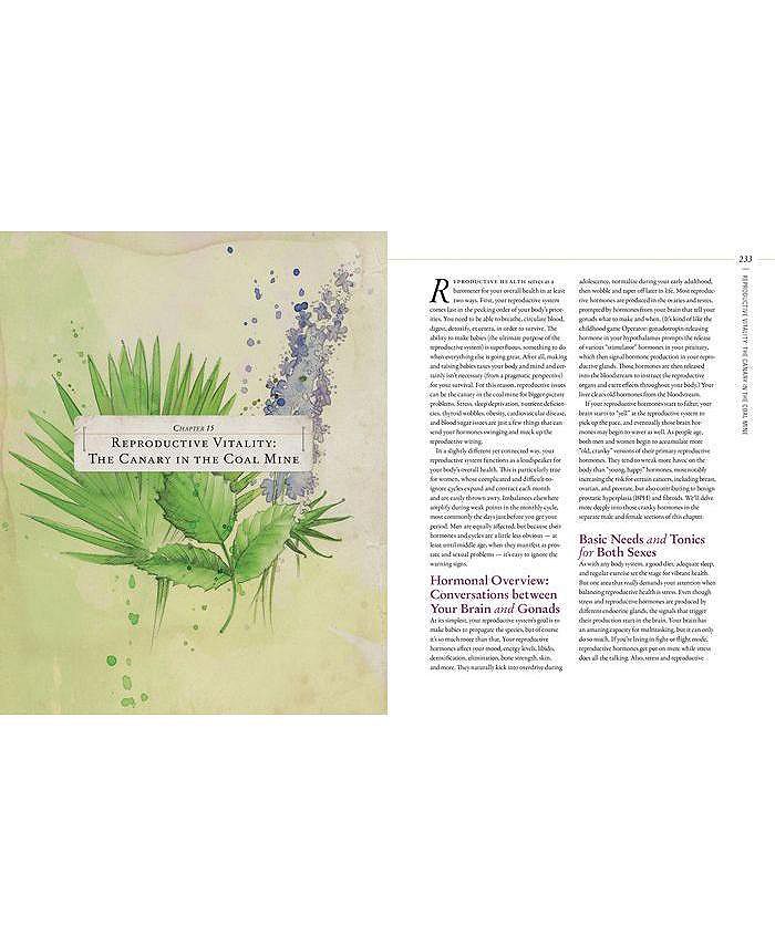 Barnes & Noble Body into Balance: An Herbal Guide to Holistic Self-Care by Maria Noel Groves ...