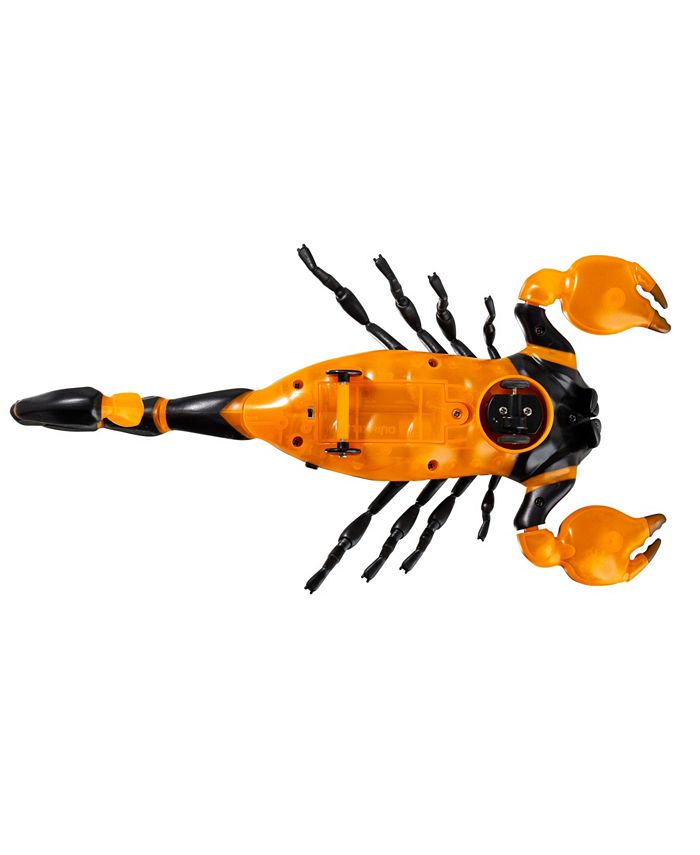 Discovery Kids RC Scorpion, Glow In The Dark Body, Wireless Remote ...