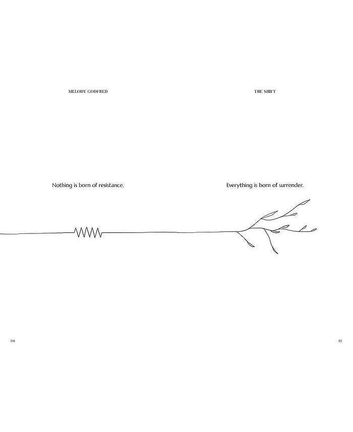 Barnes & Noble The Shift: Poetry for A New Perspective by Melody ...