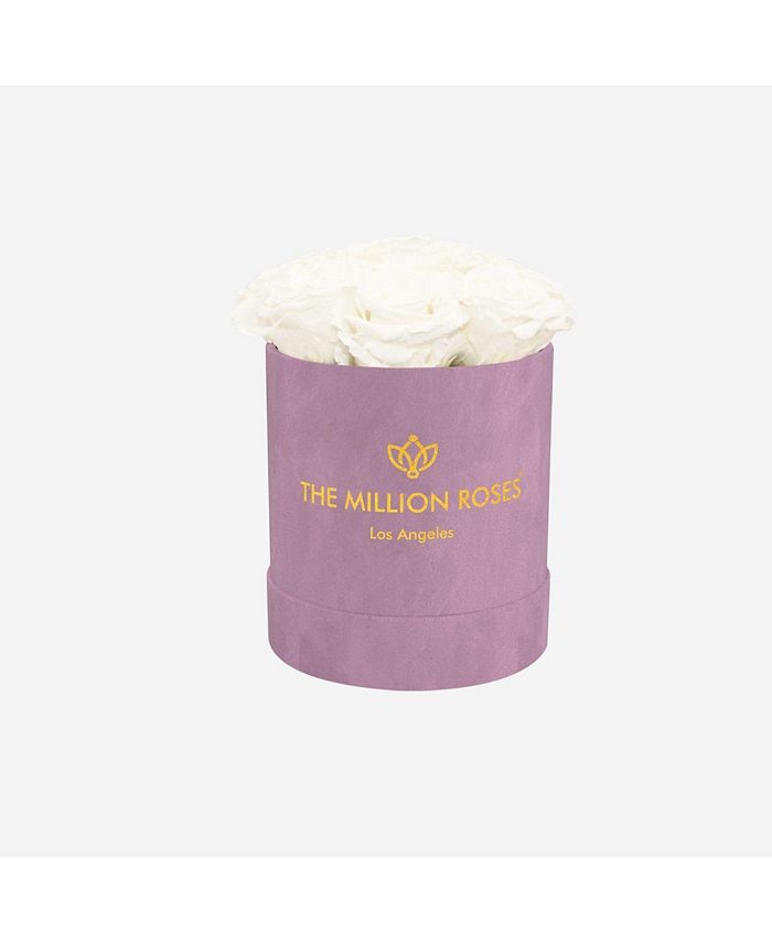 The Million Roses Basic Light Pink Suede Box of Roses - Macy's