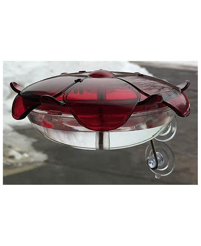 Droll Yankees Ruby Sipper Window Mounted Outdoor Humming Bird Feeder ...