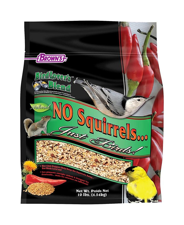 Bird B Gone Bird Lovers Blend NO Squirrels... Just Birds 10 Lb - Macy's