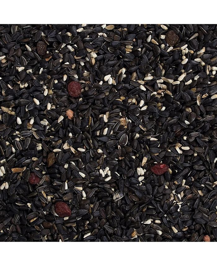 Wild Delight Songbird Seed Bird Food 20 Lb - Macy's