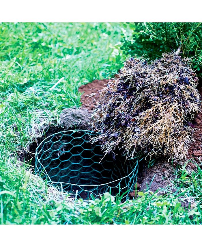 Garden Zone Poultry Netting 24 X 25 Steel Green Vinyl Coated - Macy's