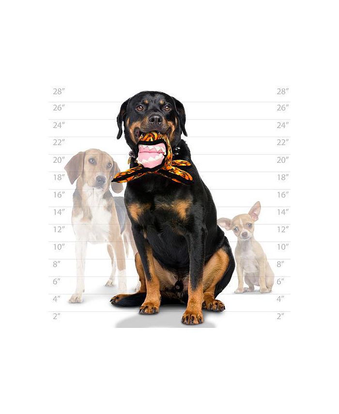 Tuffy Alien Fire, Dog Toy - Macy's