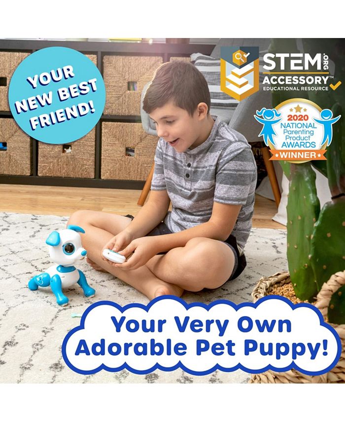 Power Your Fun Robo Pets Robot Dog Toy for Kids - Macy's