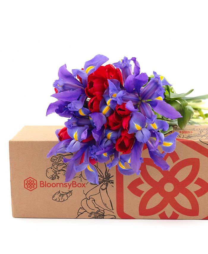 BloomsyBox X's and O's Fresh Flower Bouquet - Macy's