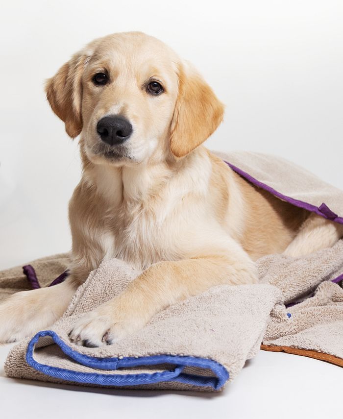 Petcode Paws Deluxe Dog Grooming 40" x 25" Spa Kit Towel, Set of 4 - Macy's