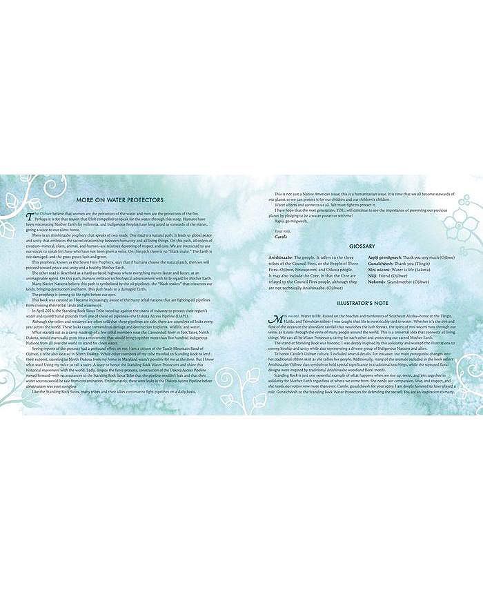 Barnes & Noble We Are Water Protectors by Carole Lindstrom - Macy's