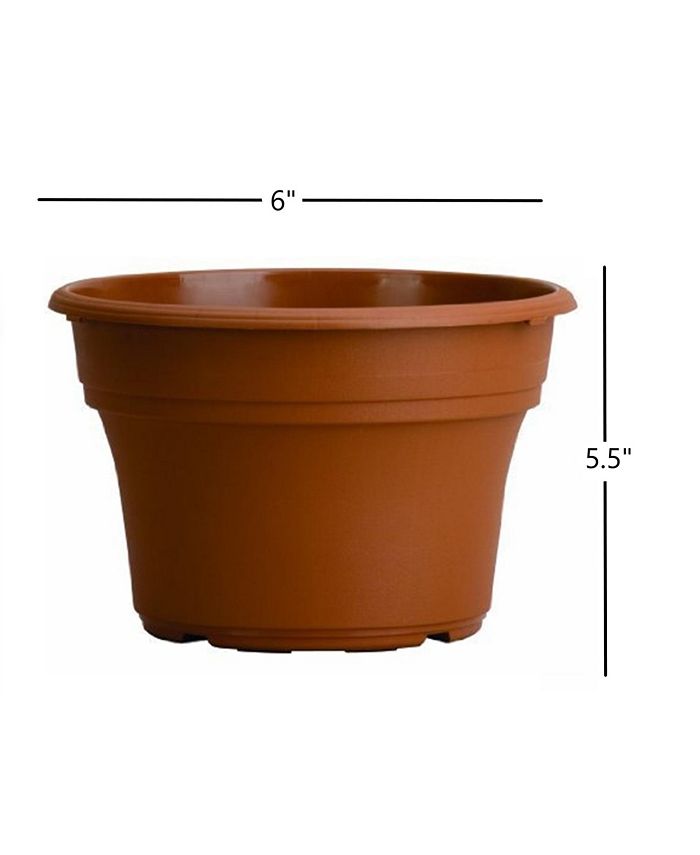 Panterra 6 Inch Pot, Clay Color - Macy's