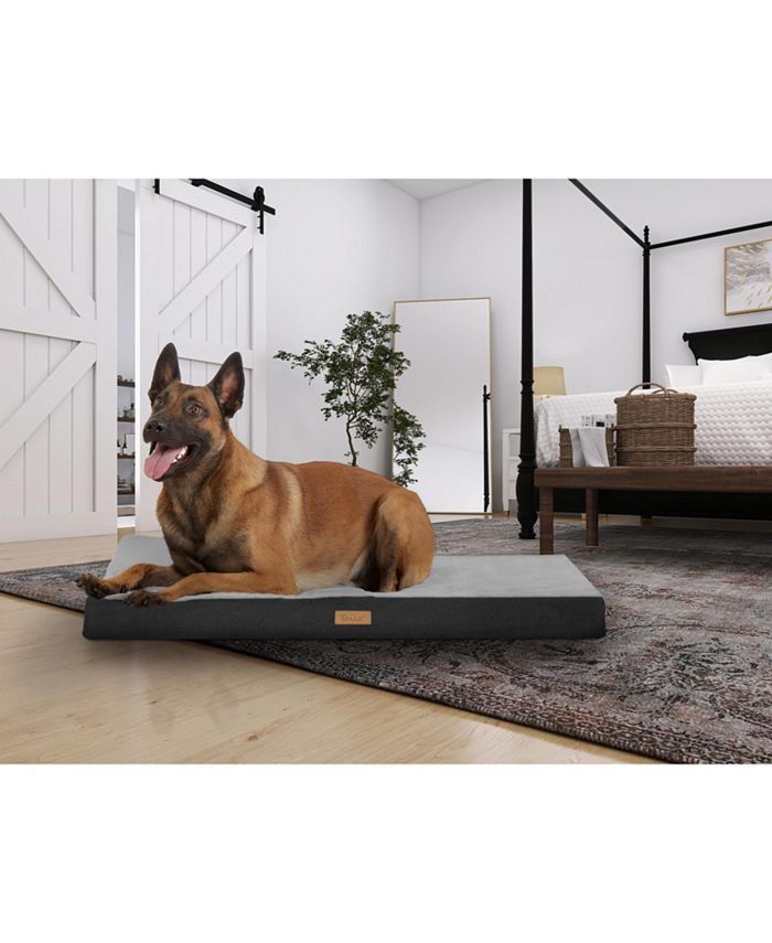 TailZzz Dream Pet Mattress | Large to Extra Large Pet Mattress | 2-in-1 ...