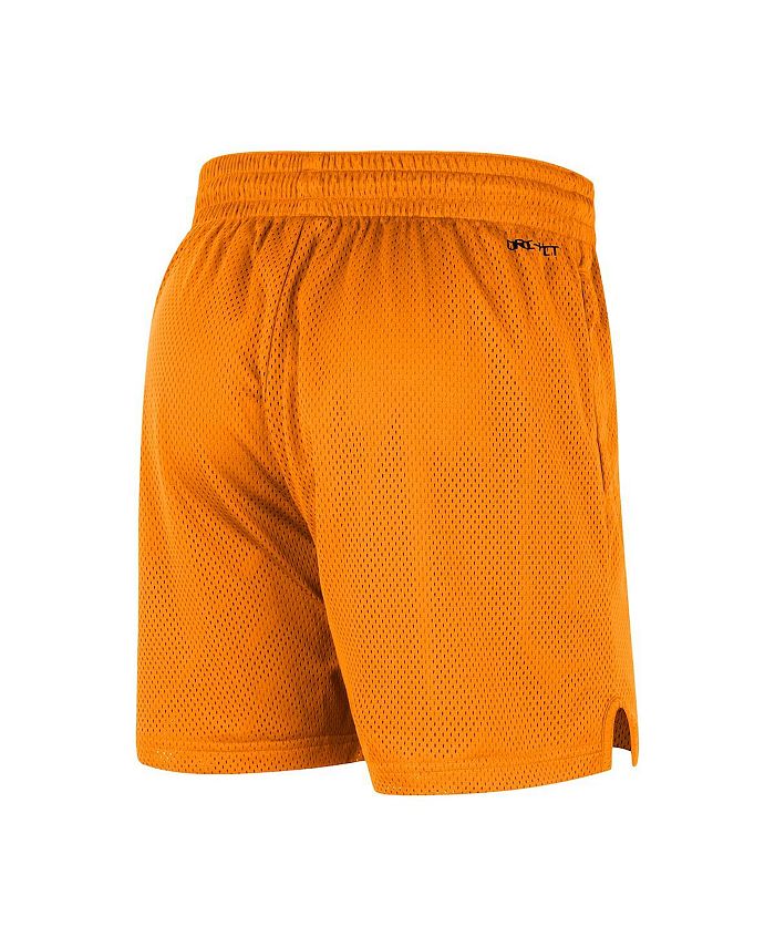 Nike Men's Tennessee Orange Tennessee Volunteers Mesh Performance ...