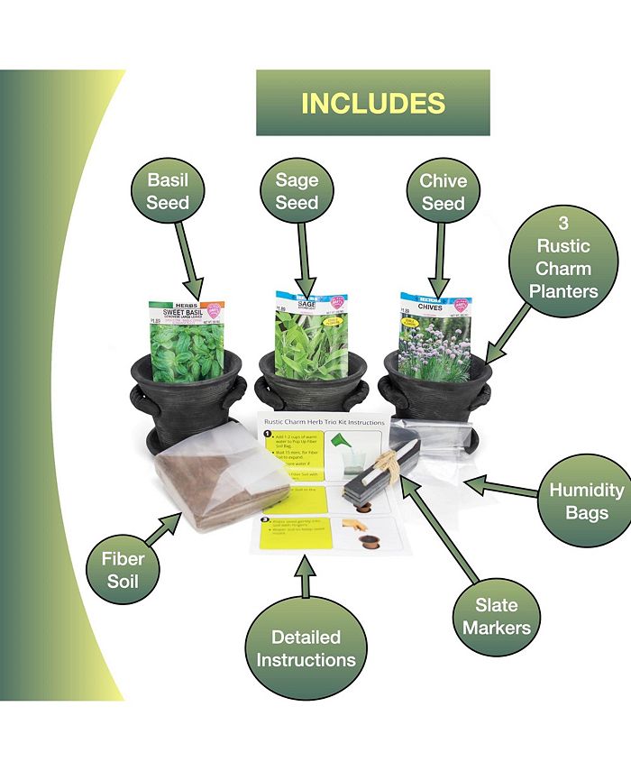 Window Garden Herb Growing Kit - Grow an Indoor Garden, Herb Kitchen ...