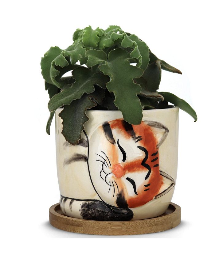 Window Garden Animal Planters - Large Kitty Pot (Tigger) Purrfect for ...