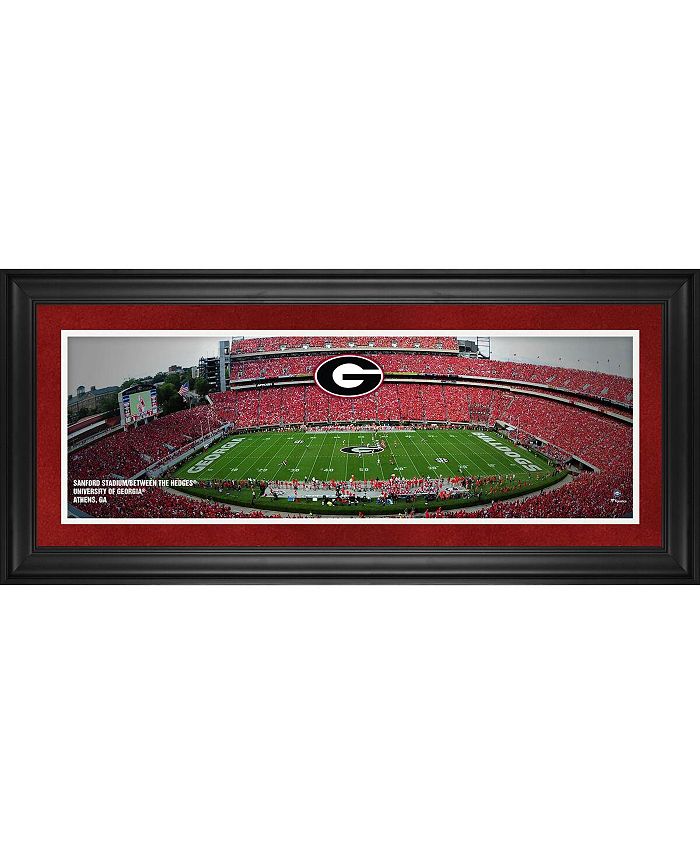 Fanatics Authentic Georgia Bulldogs Framed 10" x 30" Sanford Stadium ...