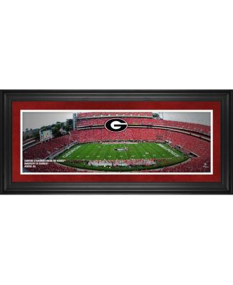 Georgia Bulldogs Framed 10" x 30" Sanford Stadium Between the Hedges ...