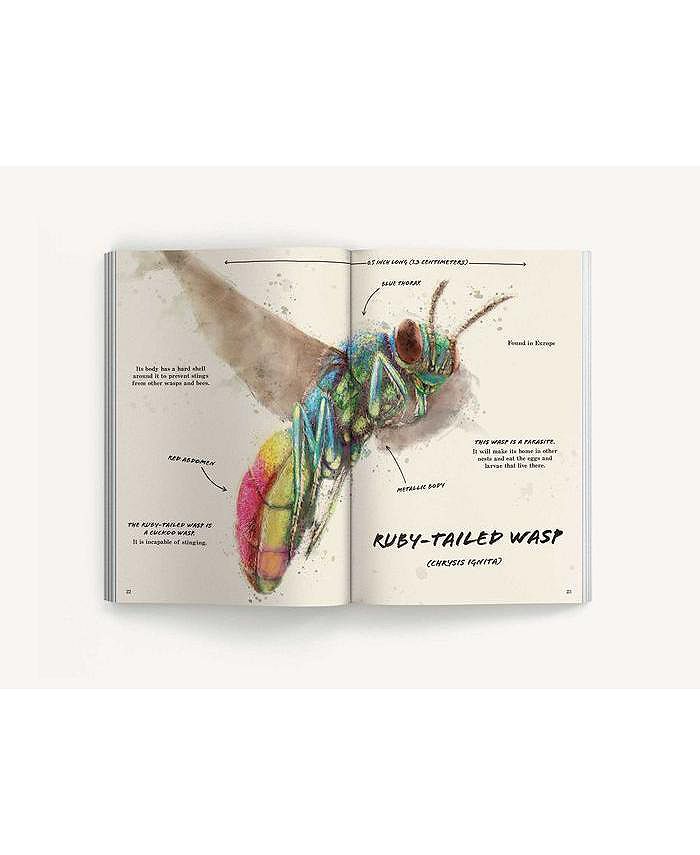 Barnes & Noble The Ultimate Bug Field Guide- The Entomologist's ...