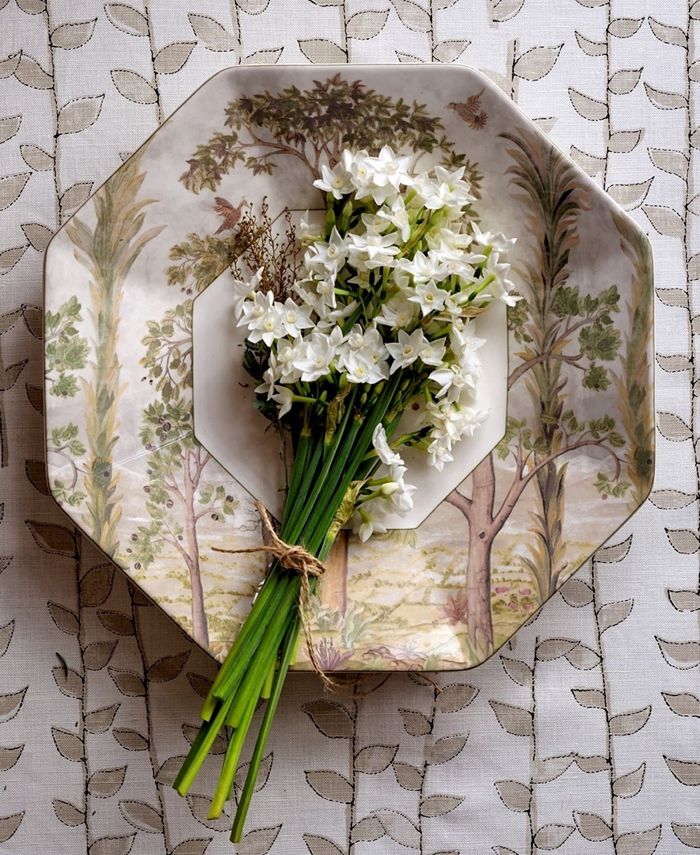 Kit Kemp for Spode Kit Kemp Tall Trees Collection - Macy's