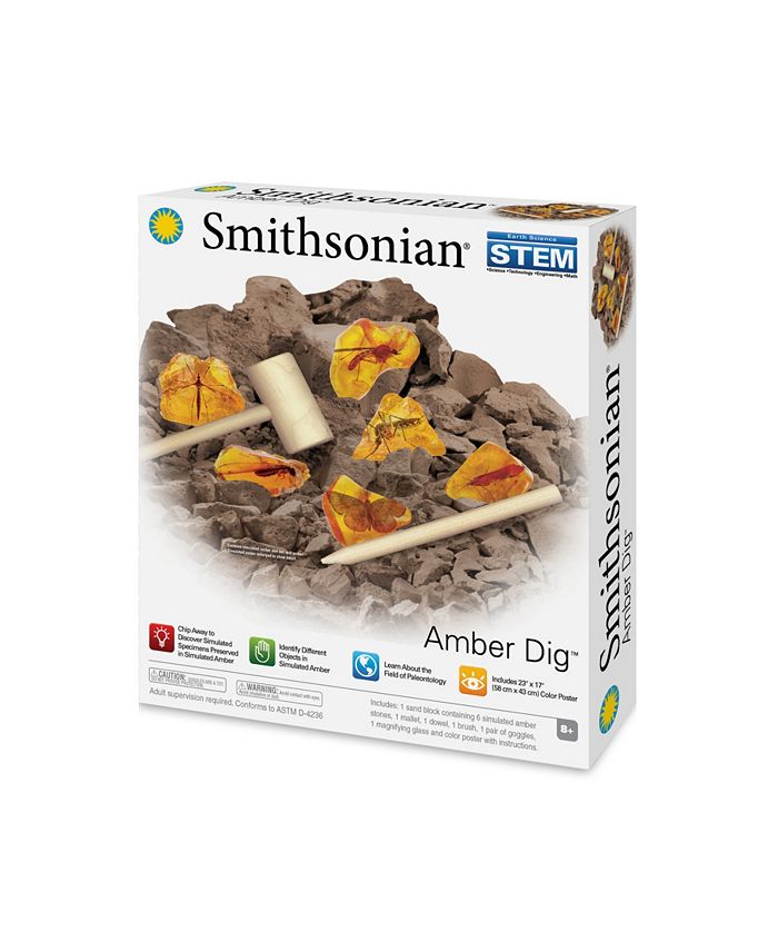 NSI Smithsonian Amber Dig Science Kit - Macy's
