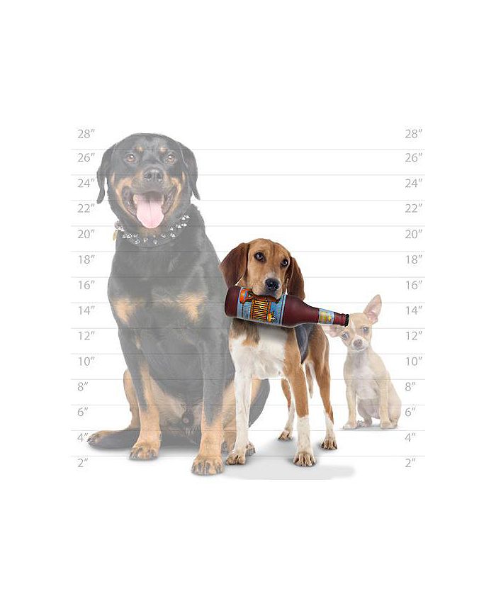 Silly Squeaker Beer Bottle Drools, 2-Pack Dog Toys - Macy's