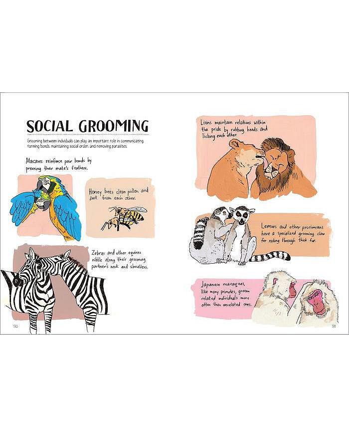 Barnes & Noble Wildlife Anatomy- The Curious Lives & Features of Wild ...