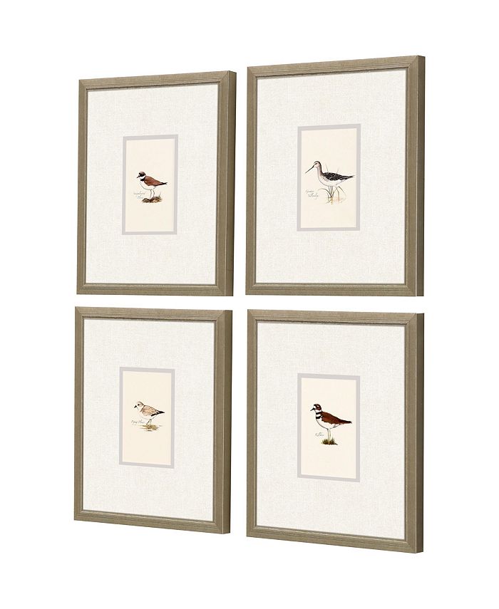 Paragon Picture Gallery Shorebirds Framed Art, Set of 4 - Macy's