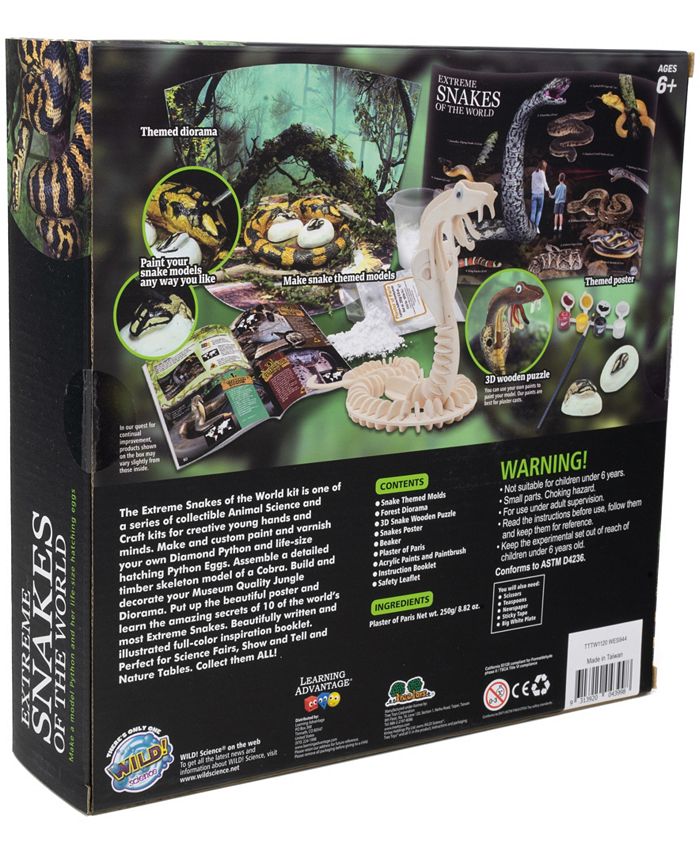 WILD! Science Wild Environmental Science - Extreme Snakes of the World ...