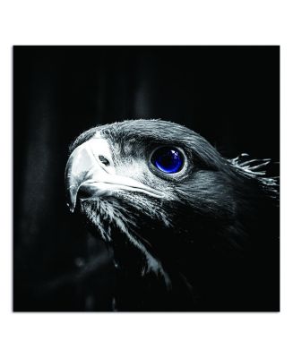 Focused Eagle Acrylic Wall Art (40 H X 40 W) - Macy's