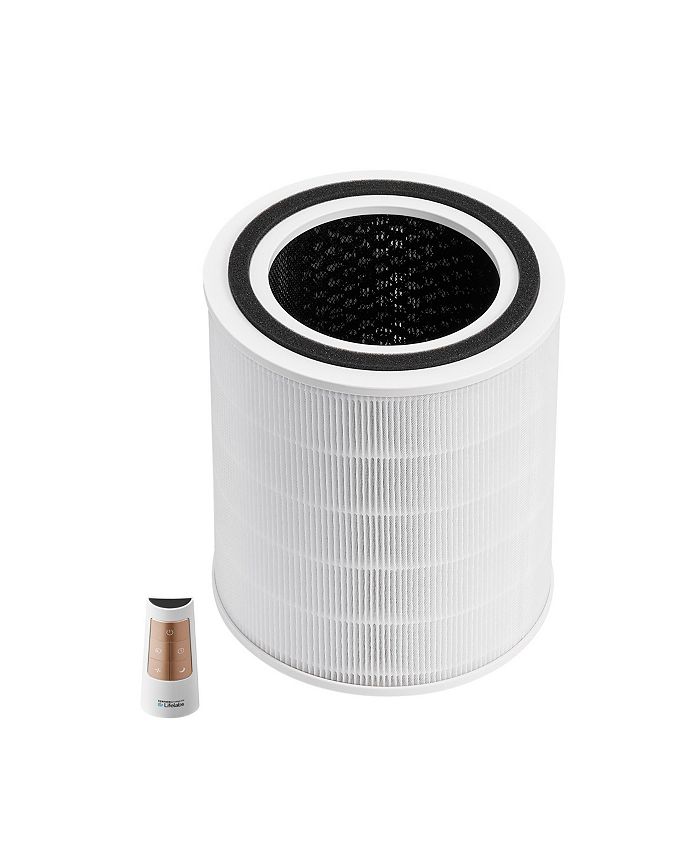 DH Lifelabs 3-IN-1 HEPA Filter Replacement for Aaira + HEPA and Sciaire ...