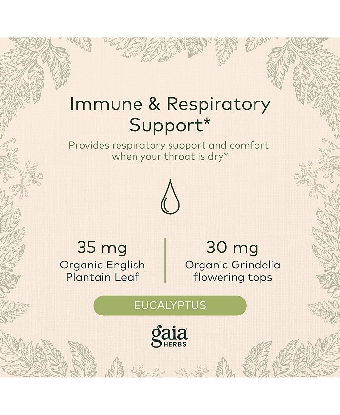 Gaia Herbs Bronchial Wellness Syrup - Immune Support Supplement to Help ...