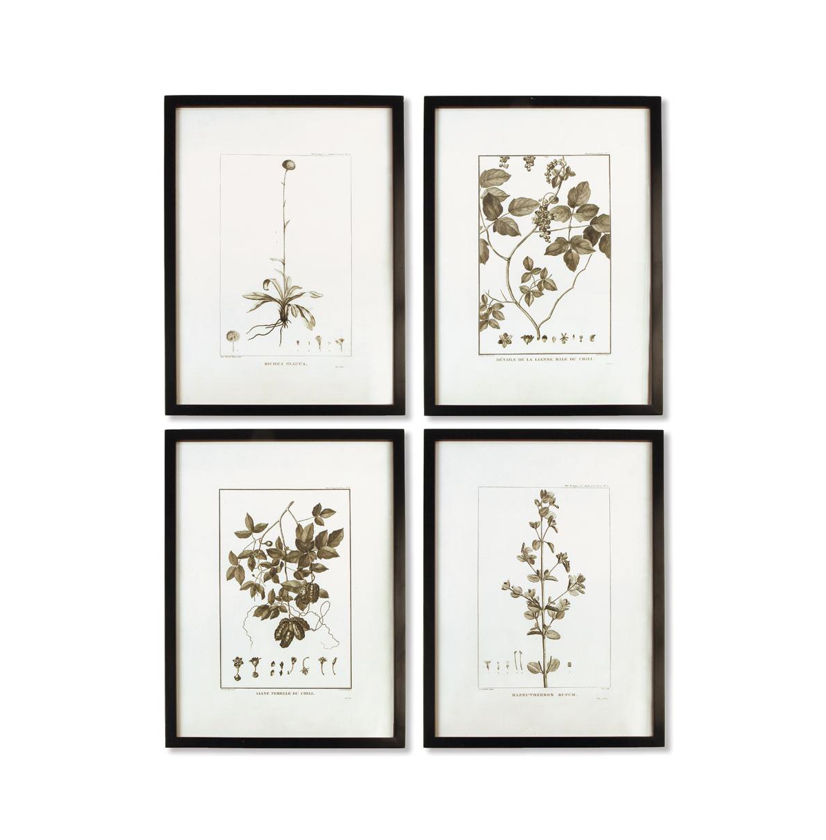 Click here for Framed Sepia-Tone Botanical Prints Set of 4 - Blac... prices