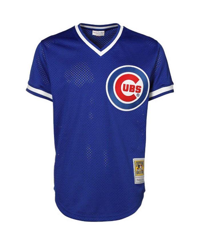 Mitchell & Ness Men's Ryne Sandberg Chicago Cubs Cooperstown Authentic ...