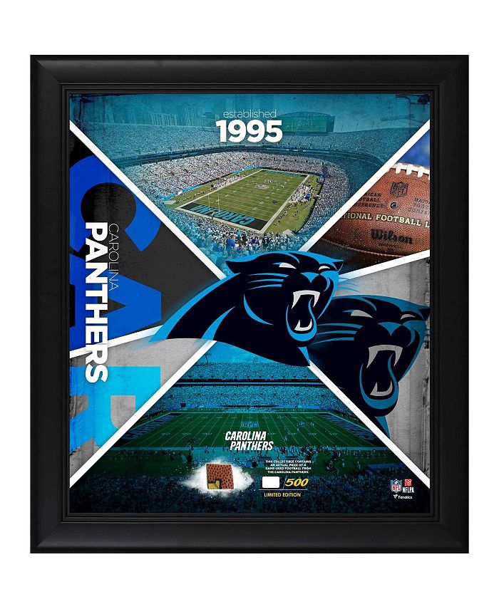 Fanatics Authentic Carolina Panthers Framed 15" x 17" Team Impact ...