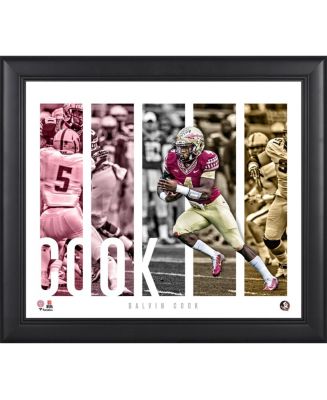 Dalvin Cook Florida State Seminoles Framed 15'' x 17'' Player Panel ...