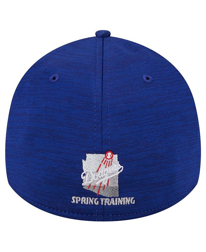 New Era Men's Royal Los Angeles Dodgers Spring Training Digi 39THIRTY ...