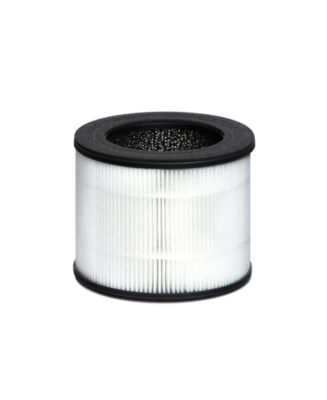 Homedics TotalClean Replacement HEPA-Type Filter for Homedics, AP-T10 ...