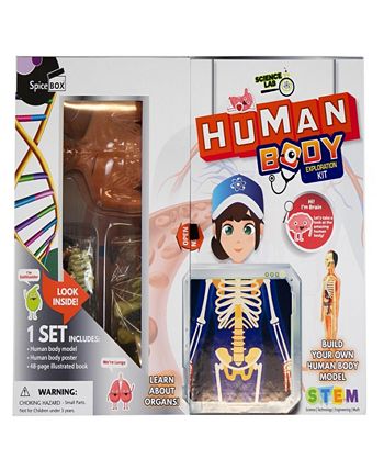 Spicebox Science Lab - Human Body Kit - Macy's