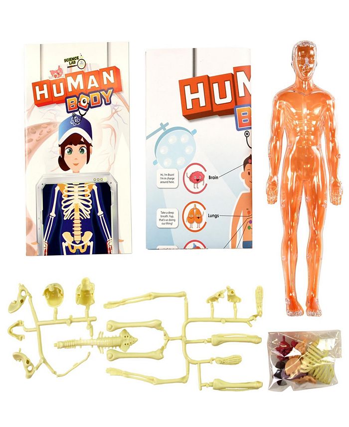 Spicebox Science Lab - Human Body Kit - Macy's