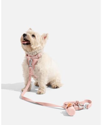 Wild One Large Harness - Macy's
