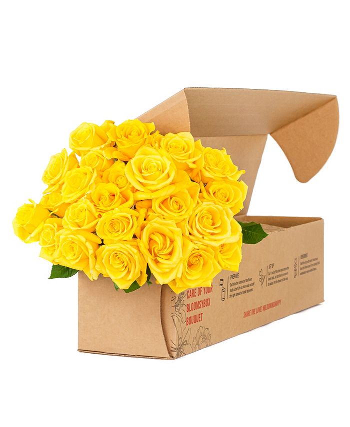 BloomsyBox Two Dozen Yellow Roses Fresh Flower Bouquet - Macy's