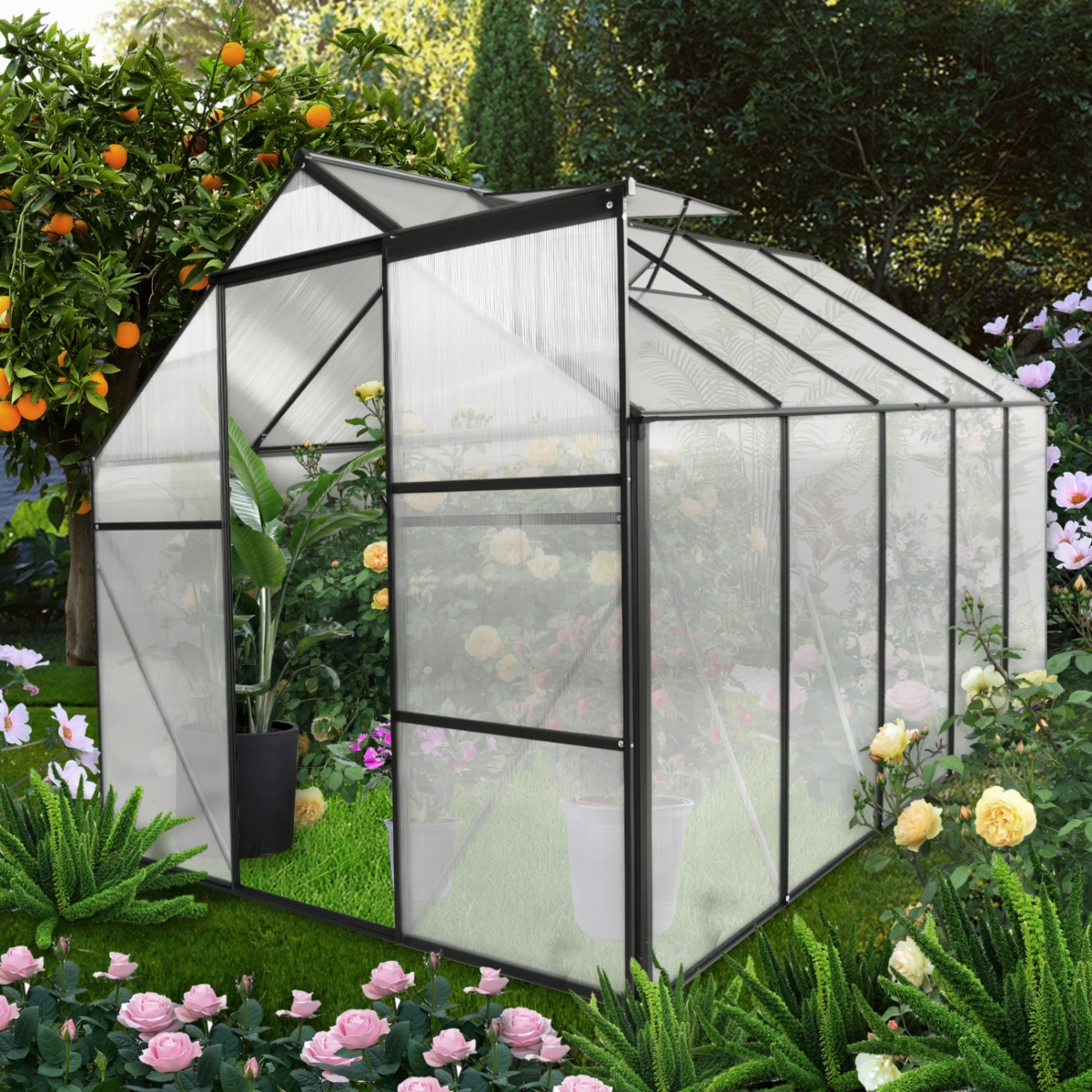 Click here for Streamdale Durable 6x10 Ft Polycarbonate Greenhous... prices