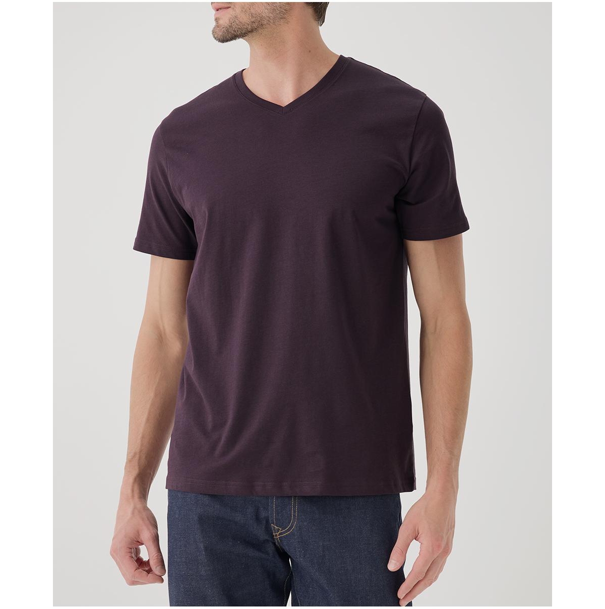 Click here for Pact Mens Organic Cotton Softspun V-Neck Tee - Plu... prices
