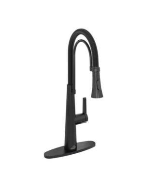 CASAINC Spring Neck Standard Kitchen Faucet with Dual-Function spray ...